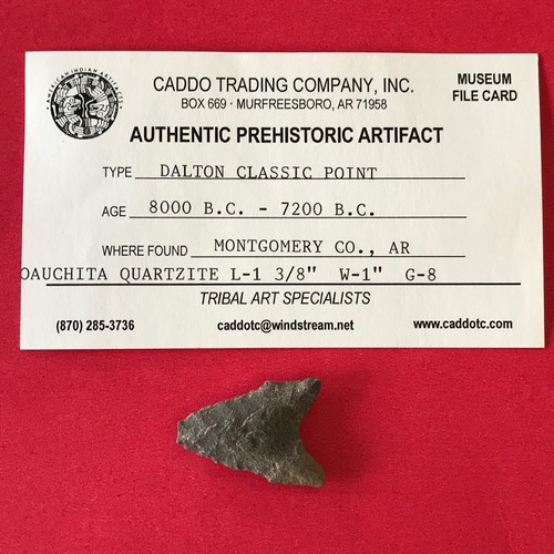 5511 Dalton Classic Point Arrowhead Authentic Native American Paleo ...
