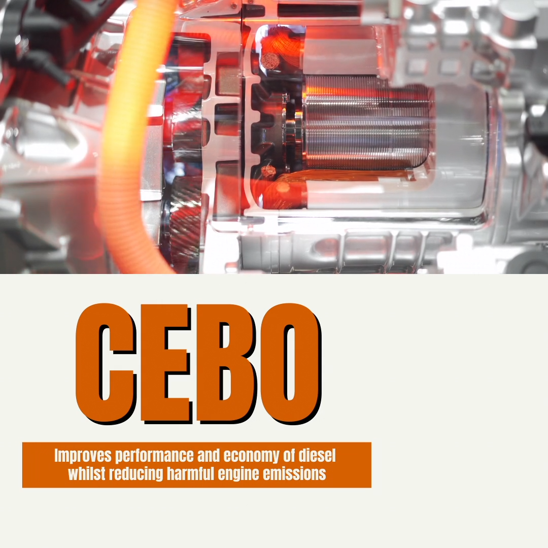 Cebo Quotes Update: Kobo And Altare Are Now Siblings : R/Hololive