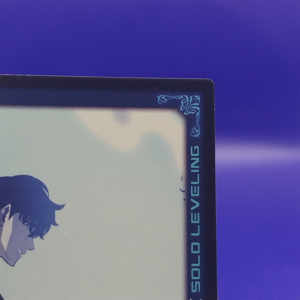 Sung Jin-woo Solo Leveling Korean D&C Media Licensed Card From Japan SL ...