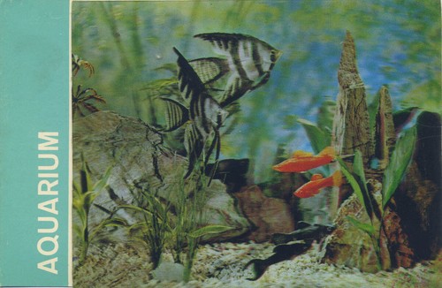 Aquarium 1960's Vari-Vue Lenticular 3-D Postcard | eBay