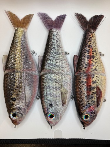 TYG Silencer Shad Glide bait swimbait custom 7 inch Lot of 3 Glide ...