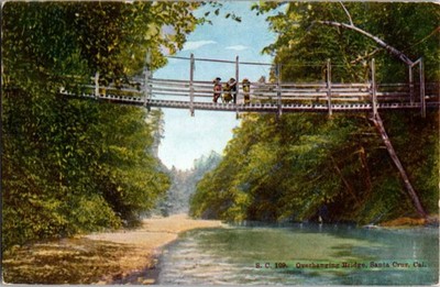 Divided-Back BIG TREE GROVE Felton Near Santa Cruz California CA n/15 ...