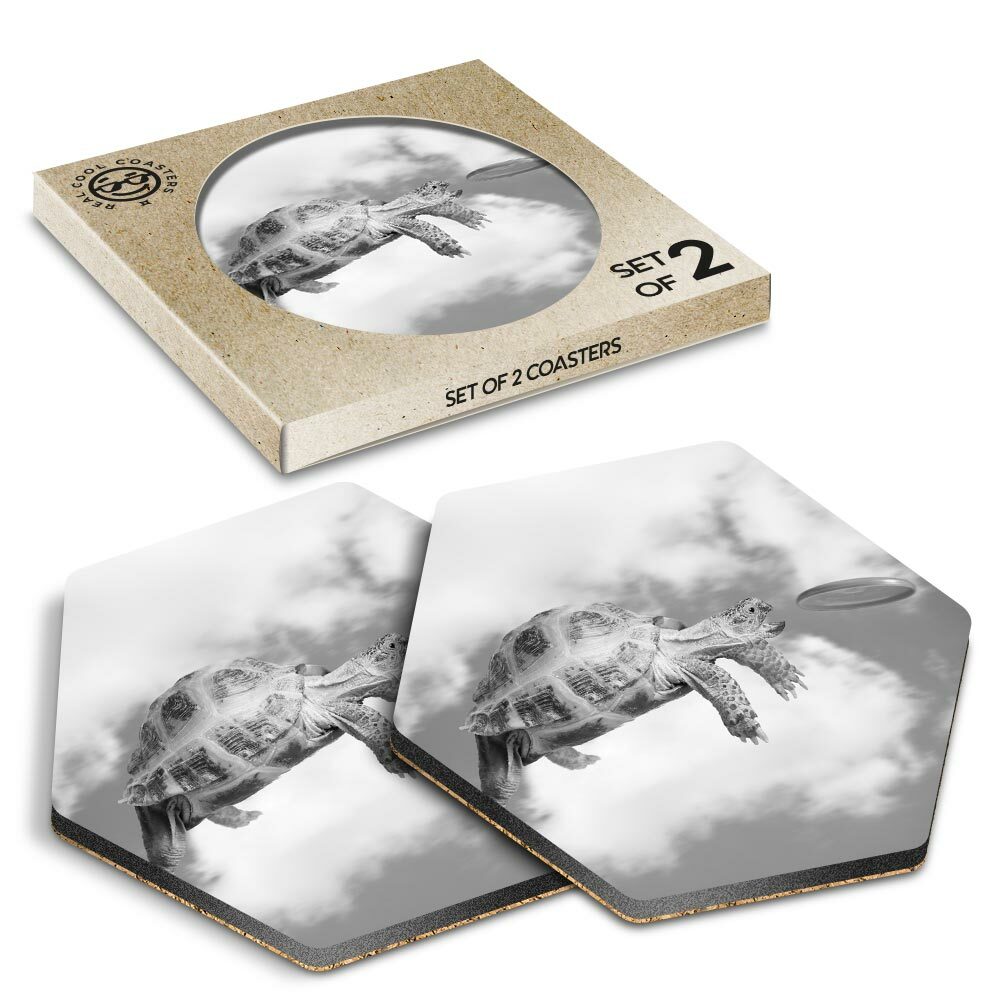 2 x Hexagon Coasters - BW - Cute Frisbee Turtle ny Animal Pets #40999 ...