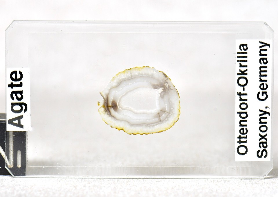 Stunning AGATE ACHAT thin section microscope slide Ottendorf-Okrilla ...