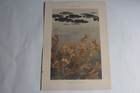 Fish and Algae Print Journal Decoration G. Heilmann 1900 (69258) | eBay