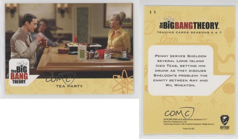 2016 The Big Bang Theory Seasons 6 & 7 Sheldon Cooper Penny Tea Party ...