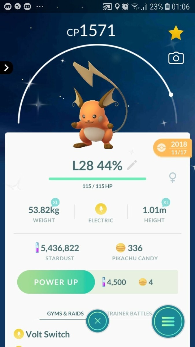 Shiny Raichu Shiny Raichu Pokémon GO Detective Hat Pokemon Mini P