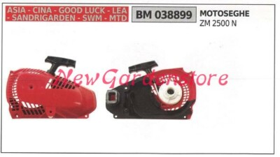 Time IN Motorcycle China Engine Chainsaw ZM 2500 N 038899 | eBay Australia
