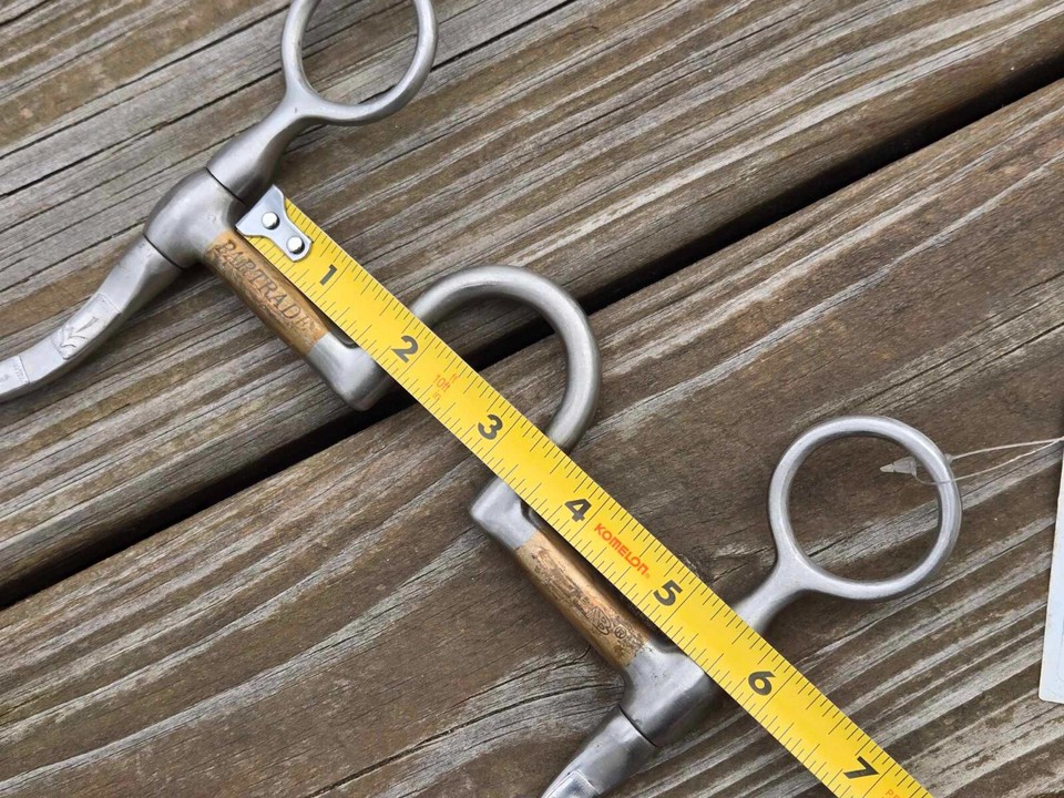 FG Francis Gauthier Brushed SS Western Correction Bit Engraved Accent ...