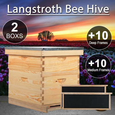 Langstroth Bee Hive 10-Frame Deep Box w/ 10 Deep & Medium Frames and ...