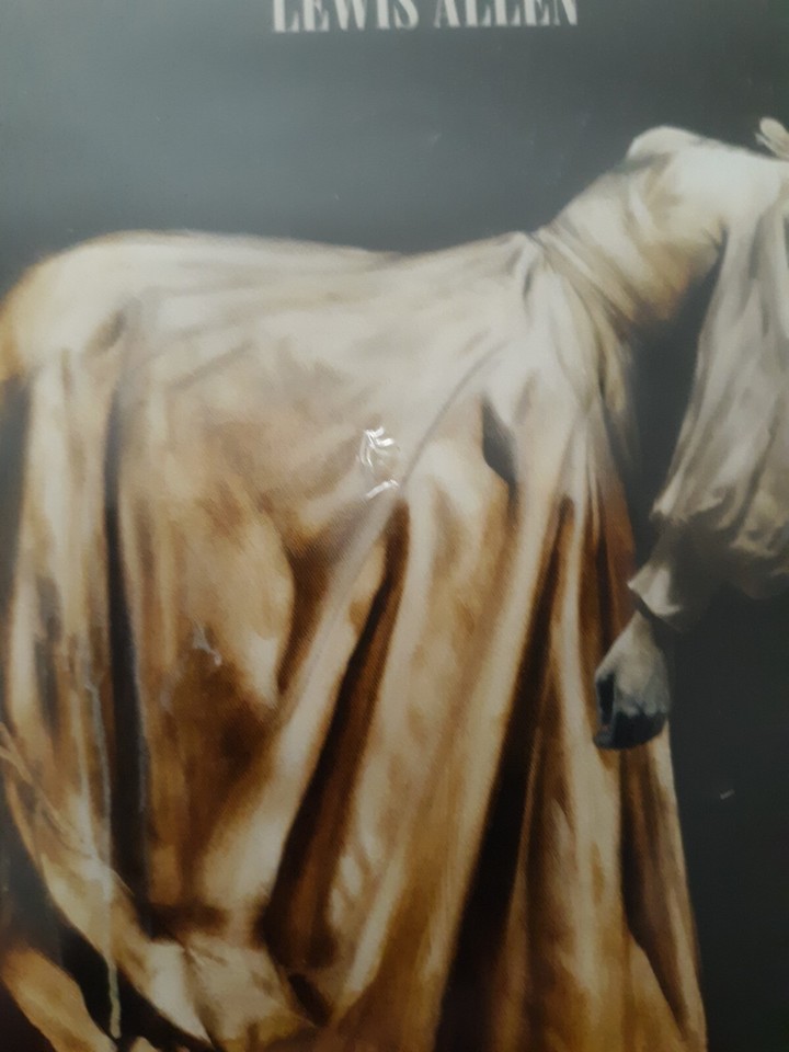 The Uninvited 1944 DVD Criterion Collection Halloween Ghost Story ...