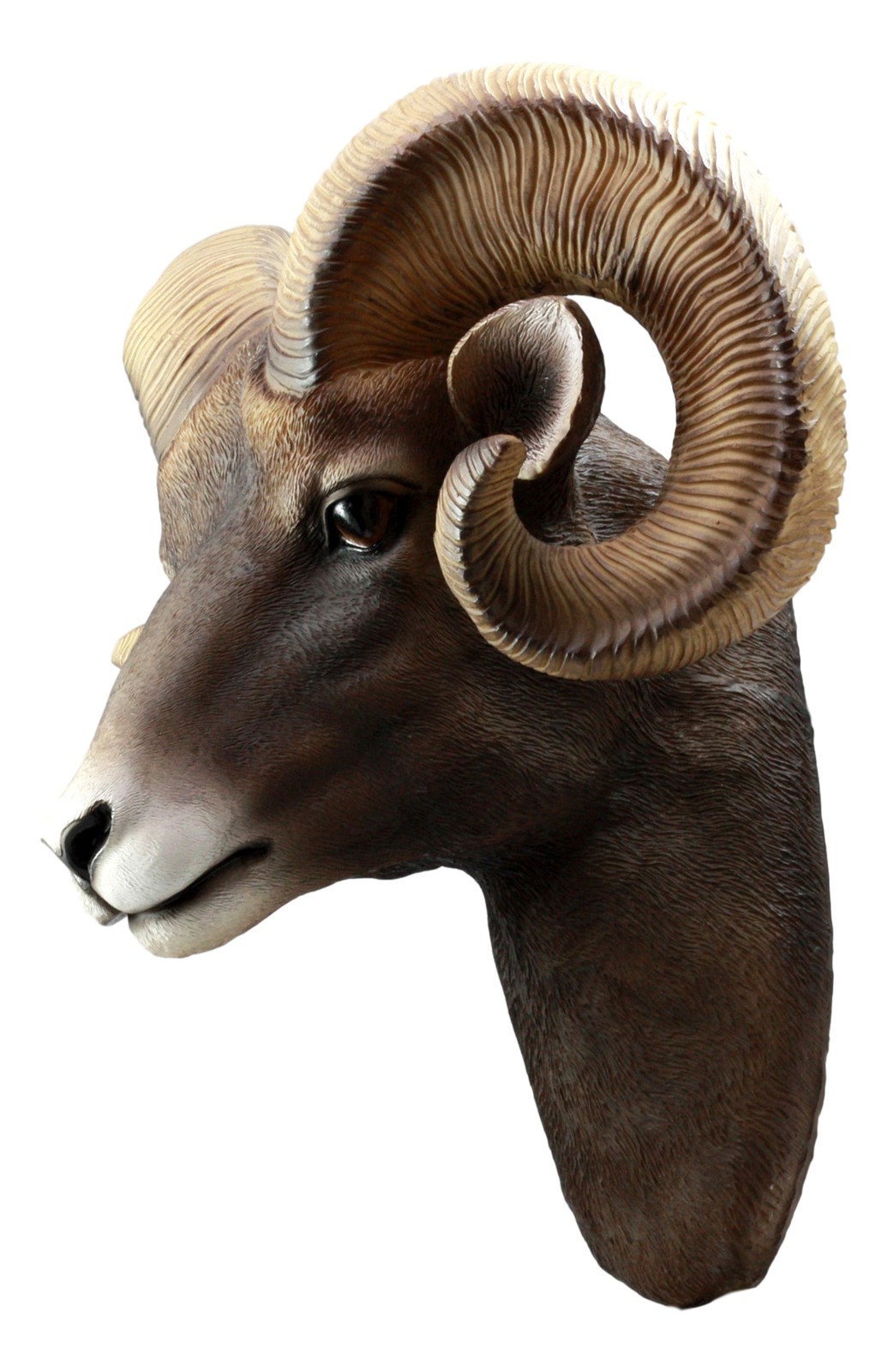 Ram Head Bust Sculptural Wall Hanging by DWK 15" Height Figurine | eBay