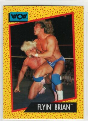 Flyin Brian Pillman 1991 Impel WCW Wrestling #64 WWE | eBay