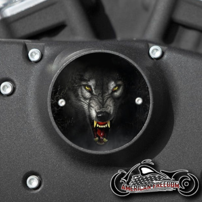 HARLEY DAVIDSON TIMING COVER SPORTSTER & EVO - 2 HOLE HORIZONTAL - Wolf ...