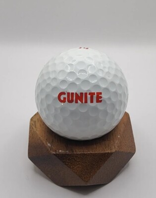 GUNITE Logo Golf Ball Precept EV Collectors Ball | eBay