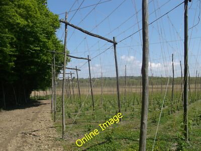 Photo 6x4 Footpath beside Park Wood Robertsbridge A path leads from ...