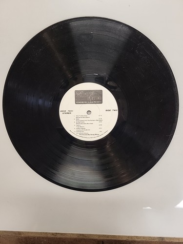 WFBQ Q-95 HOMEGROWN ALBUM PROJECT I - Indianapolis Indiana, EX Vinyl ...