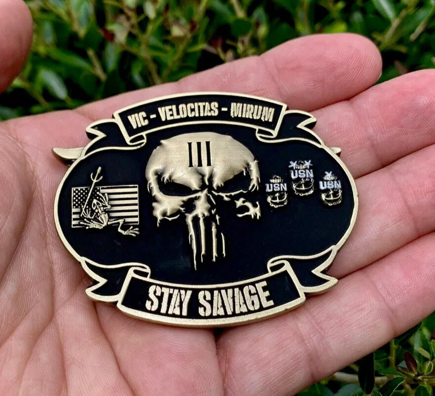Navy Seal Logo Skull