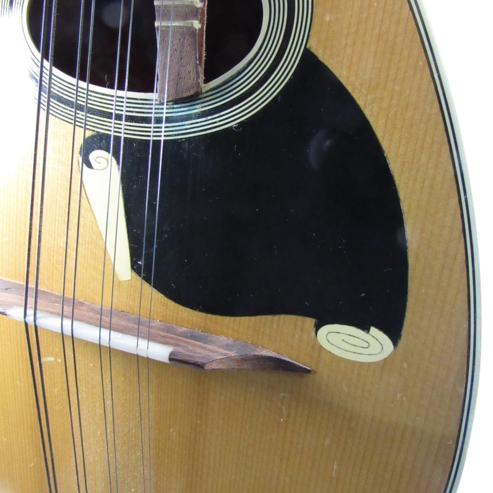 Barera Venezia Neapolitan Mandolin Walnut & Rosewood Bowlback Denim ...