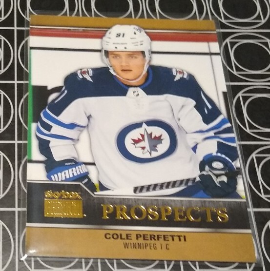 COLE PERFETTI JETS 2021-22 UD SKYBOX METAL UNIVERSE PREMIUM PROSPECTS ...