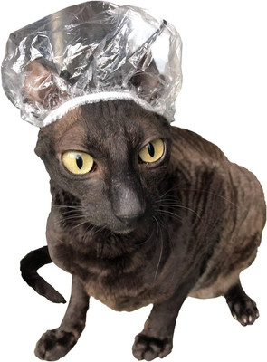 Shower Caps for Sphynx Cats and Small Pets 20Pcs | eBay