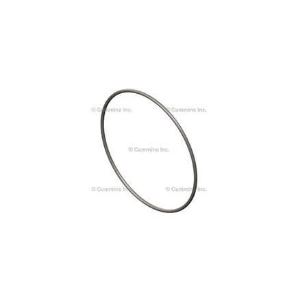 Cummins Seal O Ring 4299125 Cum for sale online | eBay