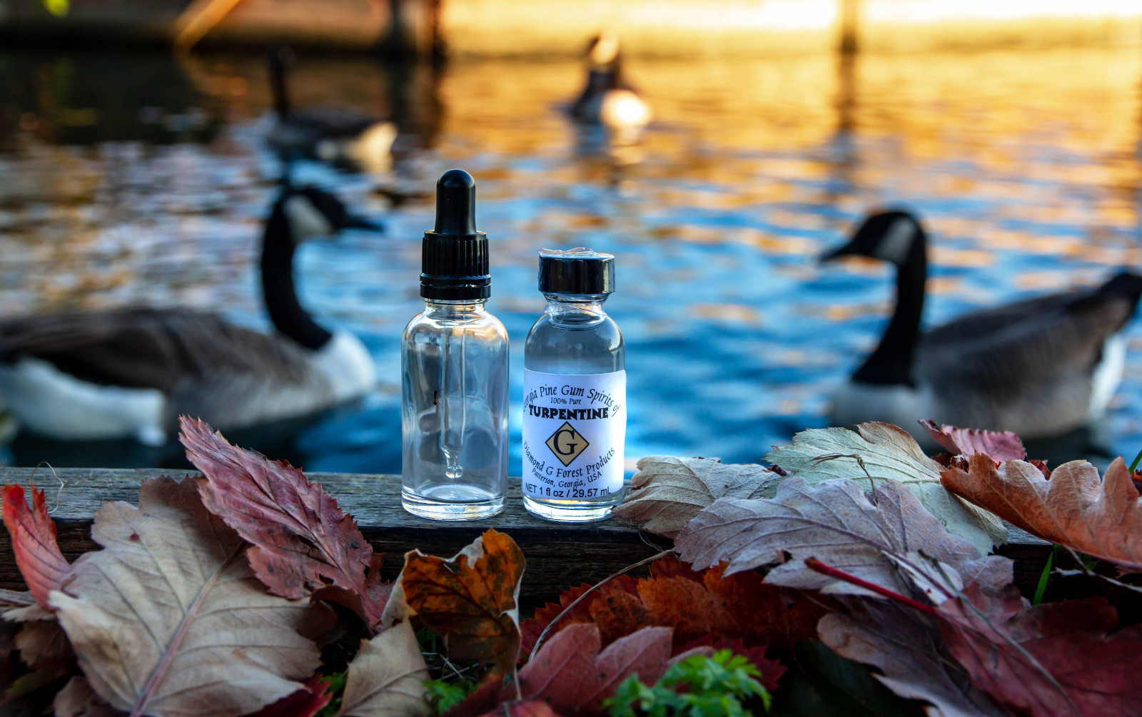 Diamond G Forest 100% Pure Gum Spirits of Turpentine 1 oz with Clear ...