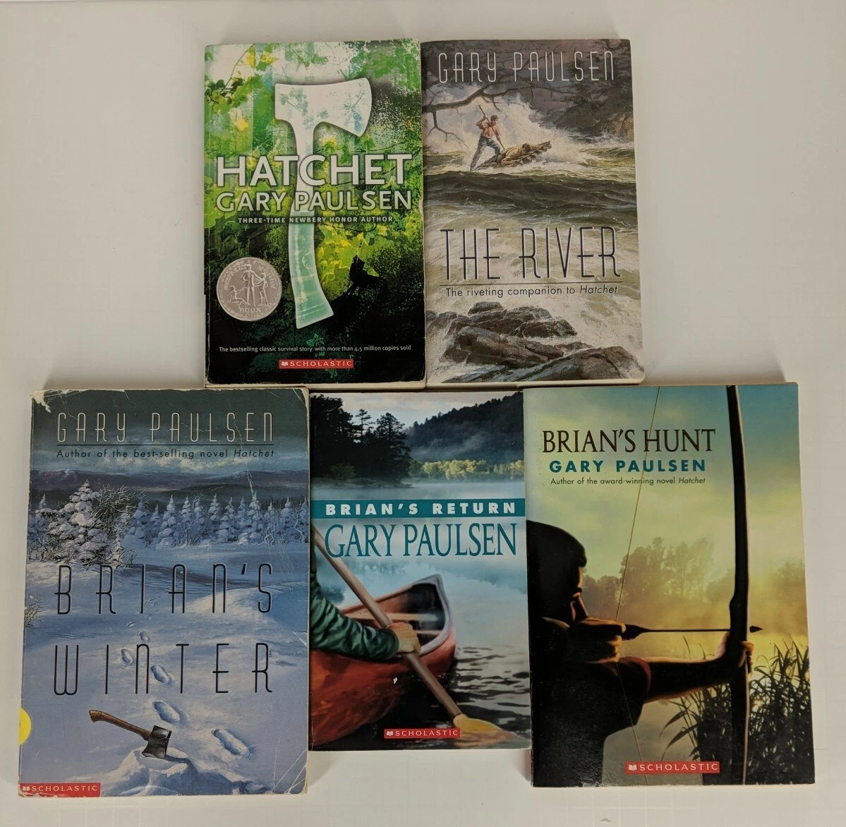 Brians Return Gary Paulsen