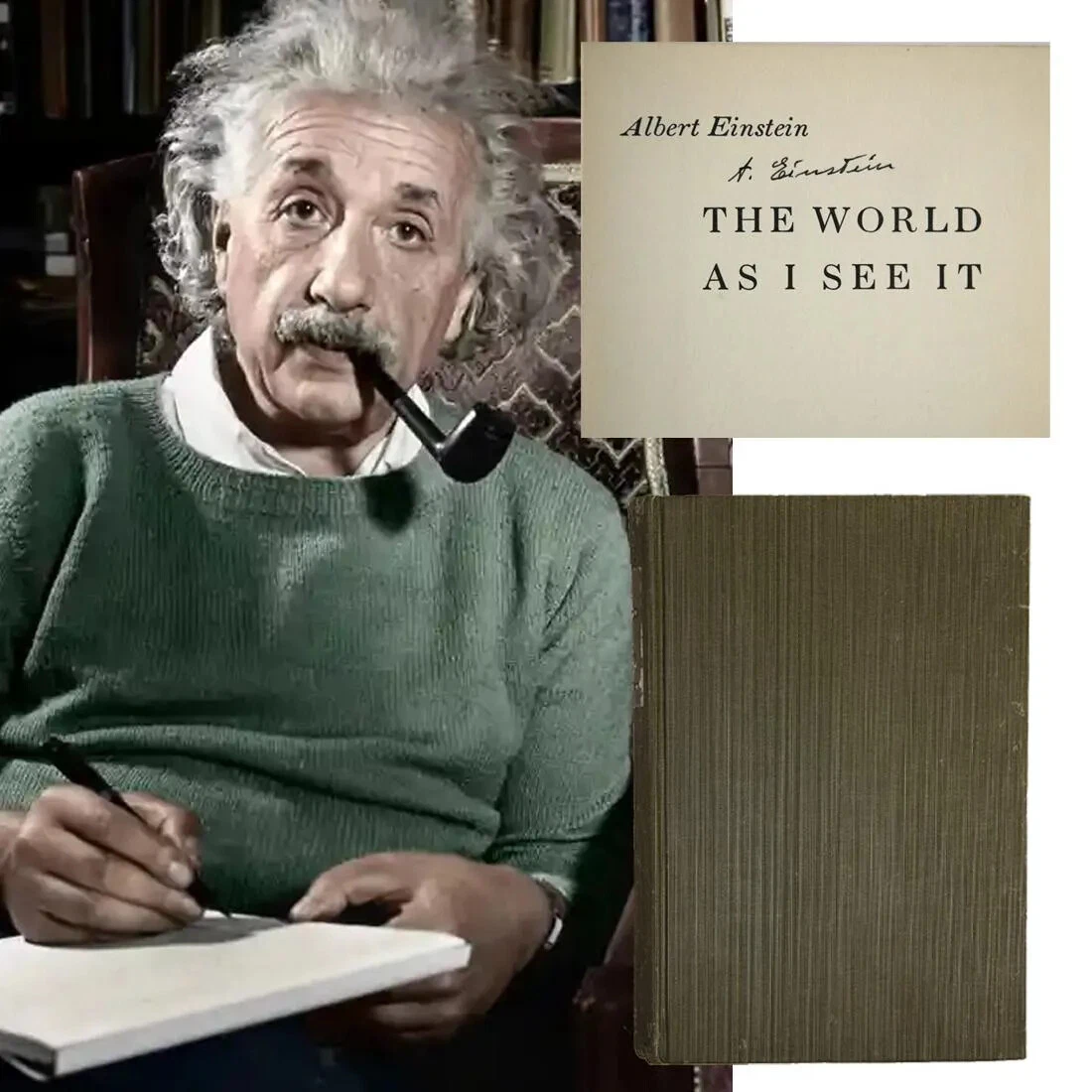The World As I See It Einstein