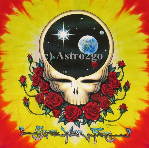 GRATEFUL DEAD SPACE YOUR FACE-Liquid Blue Lng/Short Sleeve 2 sided T ...