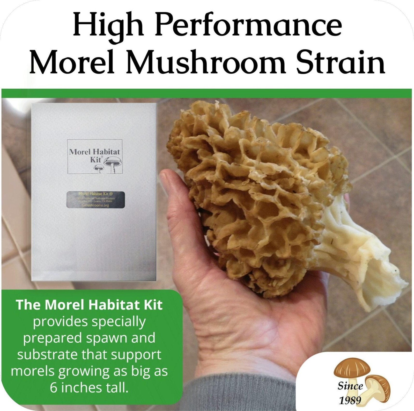 Morel Habitat Kit® FREE SHIPPING - GROW MORELS IN YOUR BACKYARD | eBay