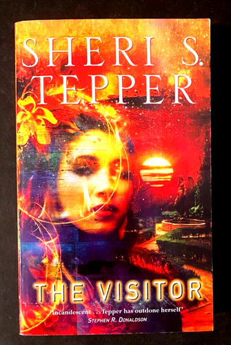 The Visitor by Sheri S. Tepper (Paperback, 2003) | eBay Australia