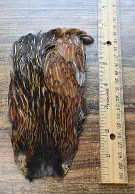 Lot 66, Natural India Hen Neck Cape Feathers for Fly Tying | eBay