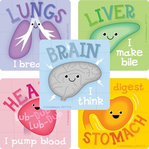 Parts of Body Stickers x 5 - Patient Rewards Nurse Doctors Health Party ...