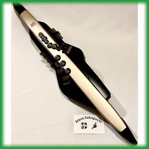 Roland Aerophone AE-20 SC Digital Wind Instrument Limited Color ...