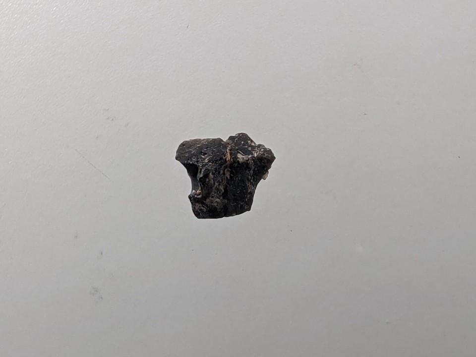 Rare Darwin Glass Tektite - Impactite Glass from Tasmania - Australian ...