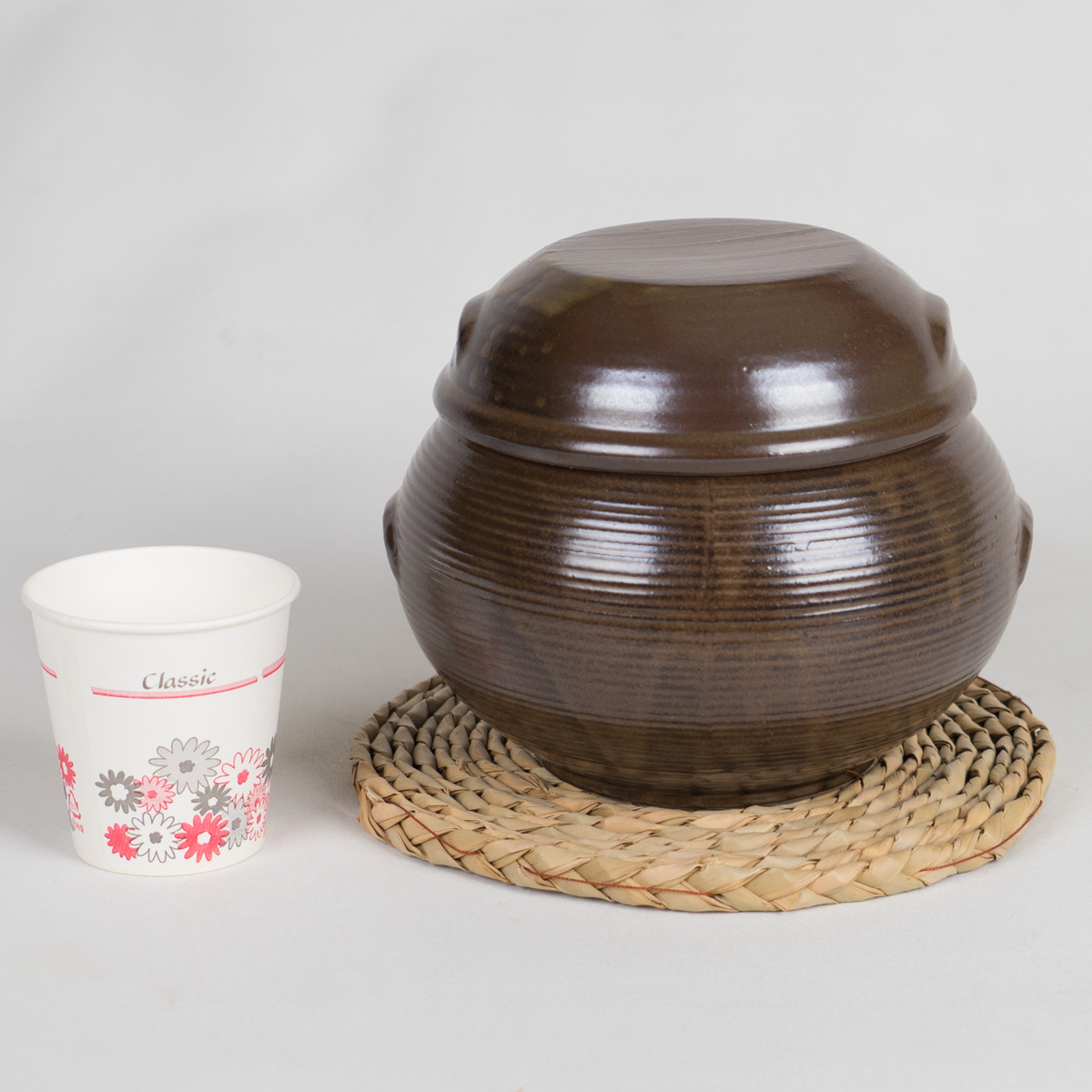 Earthenware Kimchi Jar Best Fermentation Crocks For Home Use [What To