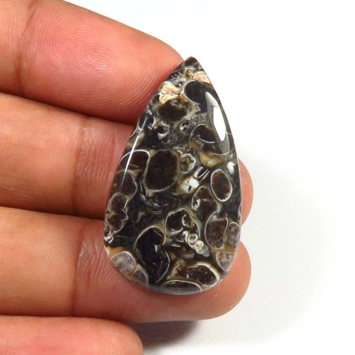 Natural Brown Turtella Gemstone 32x18mm turtella Cabochon Pear Smooth ...