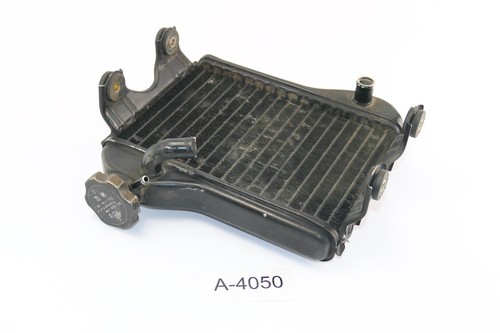 Suzuki RG 50 80 Gamma NC11A Bj 1992 - Radiator water cooler A4050 | eBay