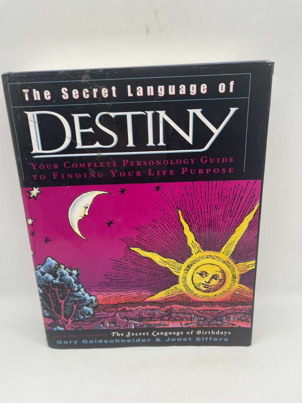 The Secret Language of Destiny A Complete Personology Guide to Finding ...