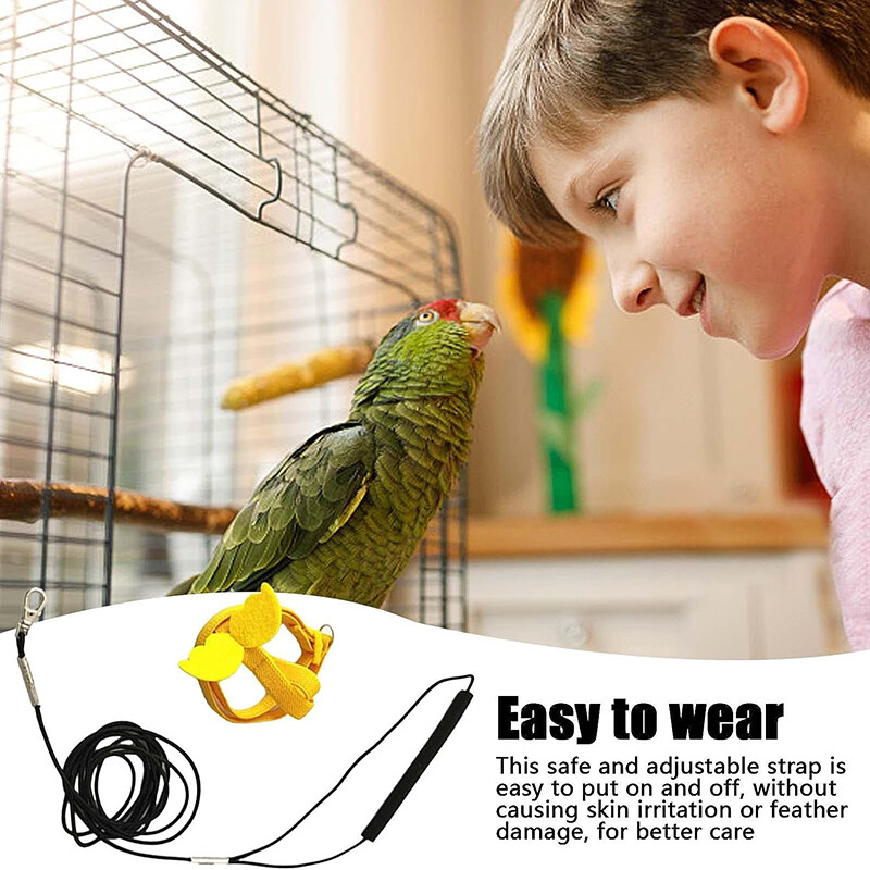 Parrot Training Harness - Adjustable Bird Leash for Cockatiel & Flying ...