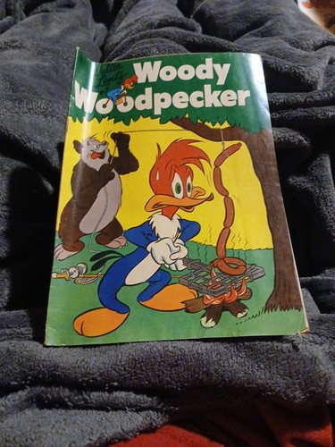 DELL Four Color 431 comic book VINTAGE 1950s Golden Age Woody ...