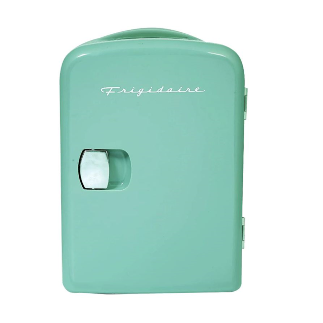 Frigidaire EFMIS149_AMZ 4L Portable Fridge for sale online | eBay