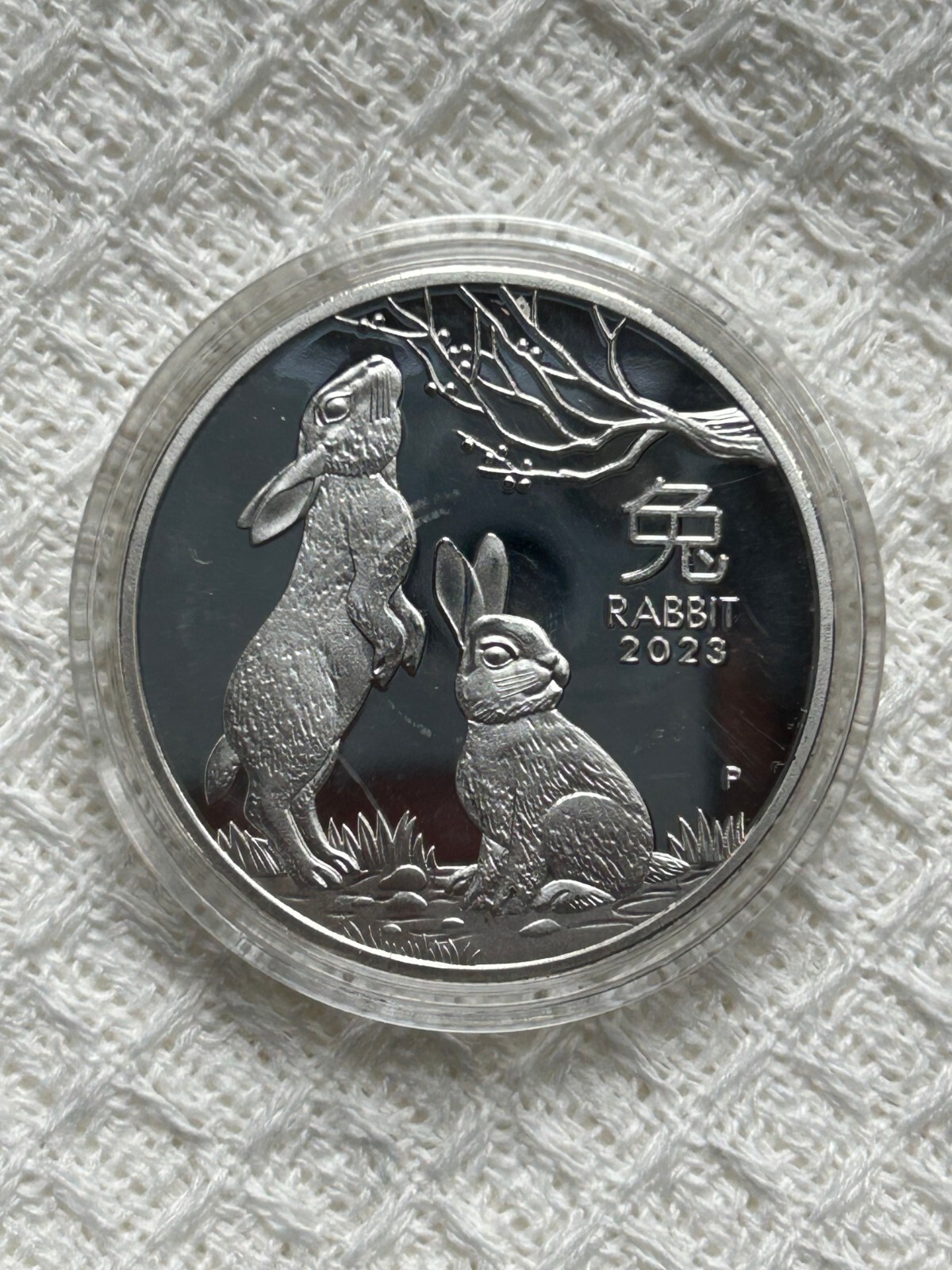 2023 Australia Lunar Year of the Rabbit - 1oz Silver Proof Coin | eBay