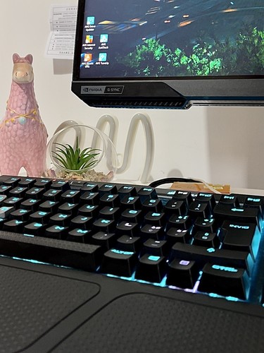 Corsair Gaming K70 RGB MK.2 Mechanical Keyboard, Cherry MX Brown ...