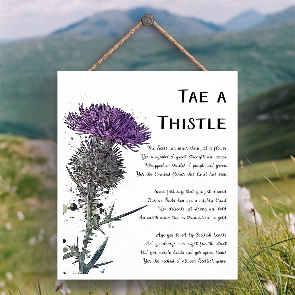 Thistle Scottish Quotes How The English Failed To Stamp Out The Scots
