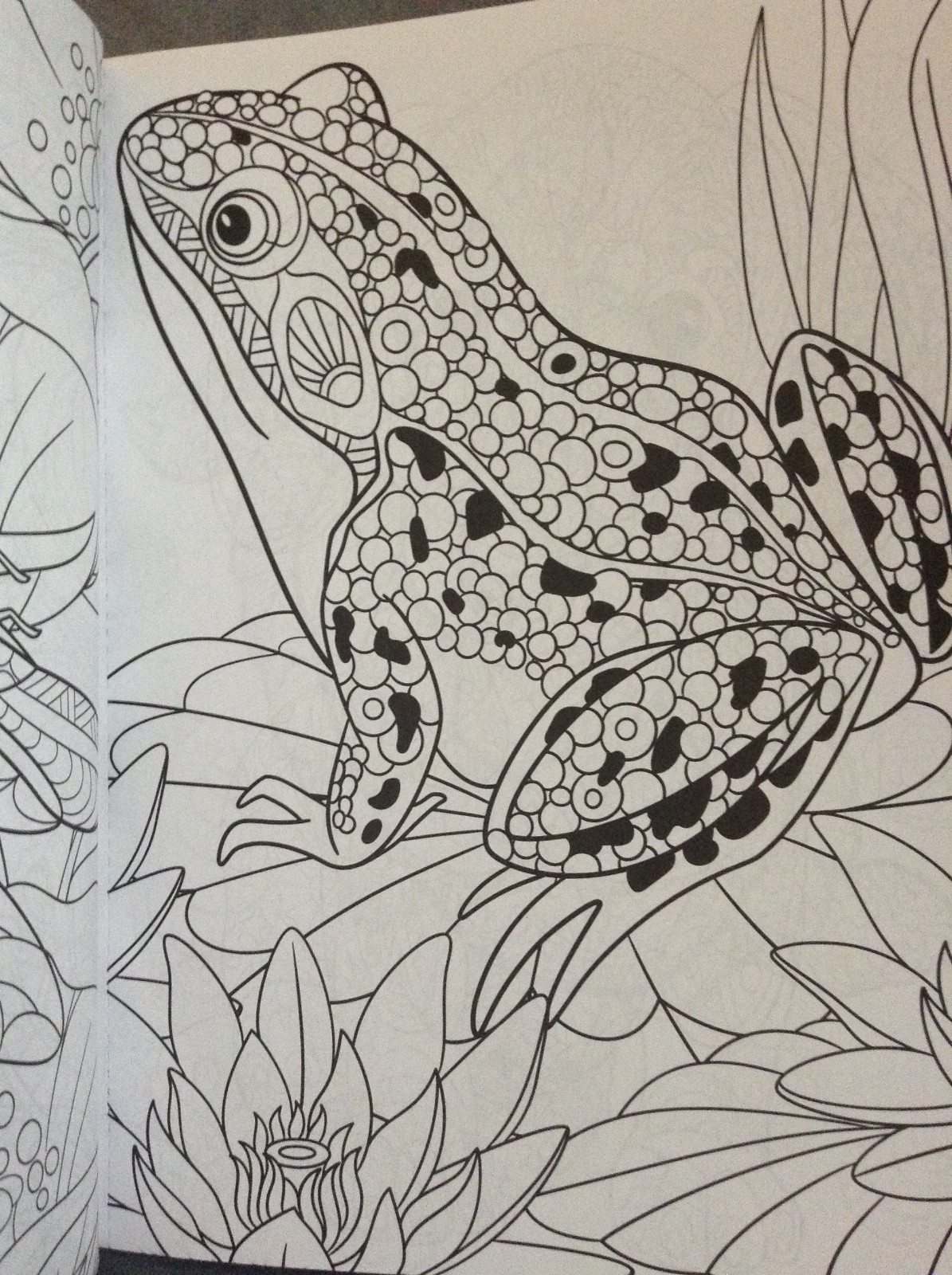 LANDOLL KICK BACK AND COLOR ANIMALS ADULT COLORING BOOK WITH FREE MUSIC ...