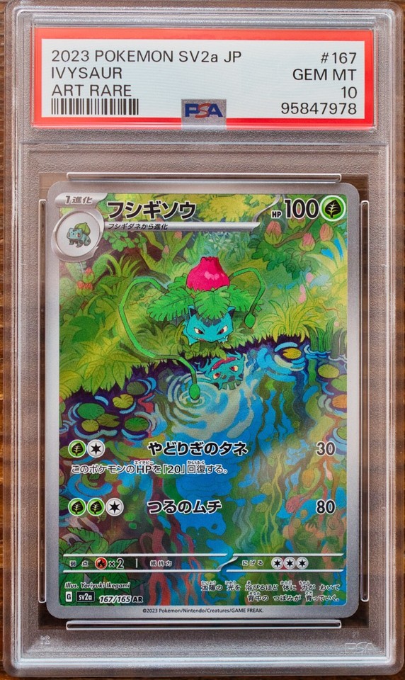PSA 10 Venusaur Bulbasaur Ivysaur SAR AR SEQ set Japanese sv2a Pokemon ...