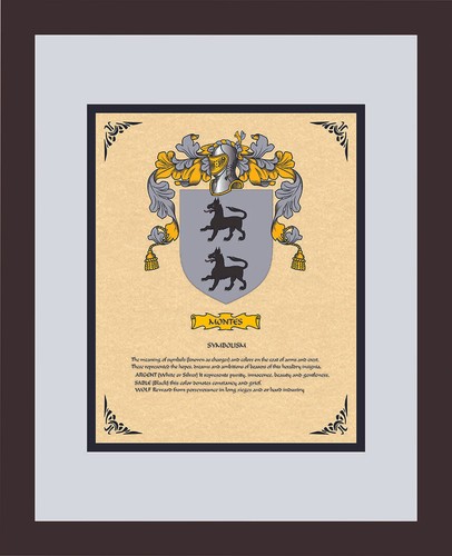 HERALDRY COAT OF ARMS ~ MONTES FAMILY CREST ~ FRAMED | eBay