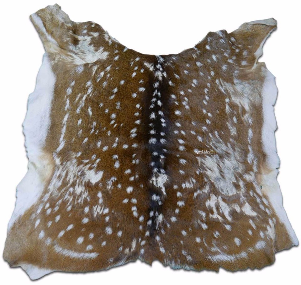 Axis Skin Second Grade Axis Deer Hide Size: 38"X30" Antelope Rug ...